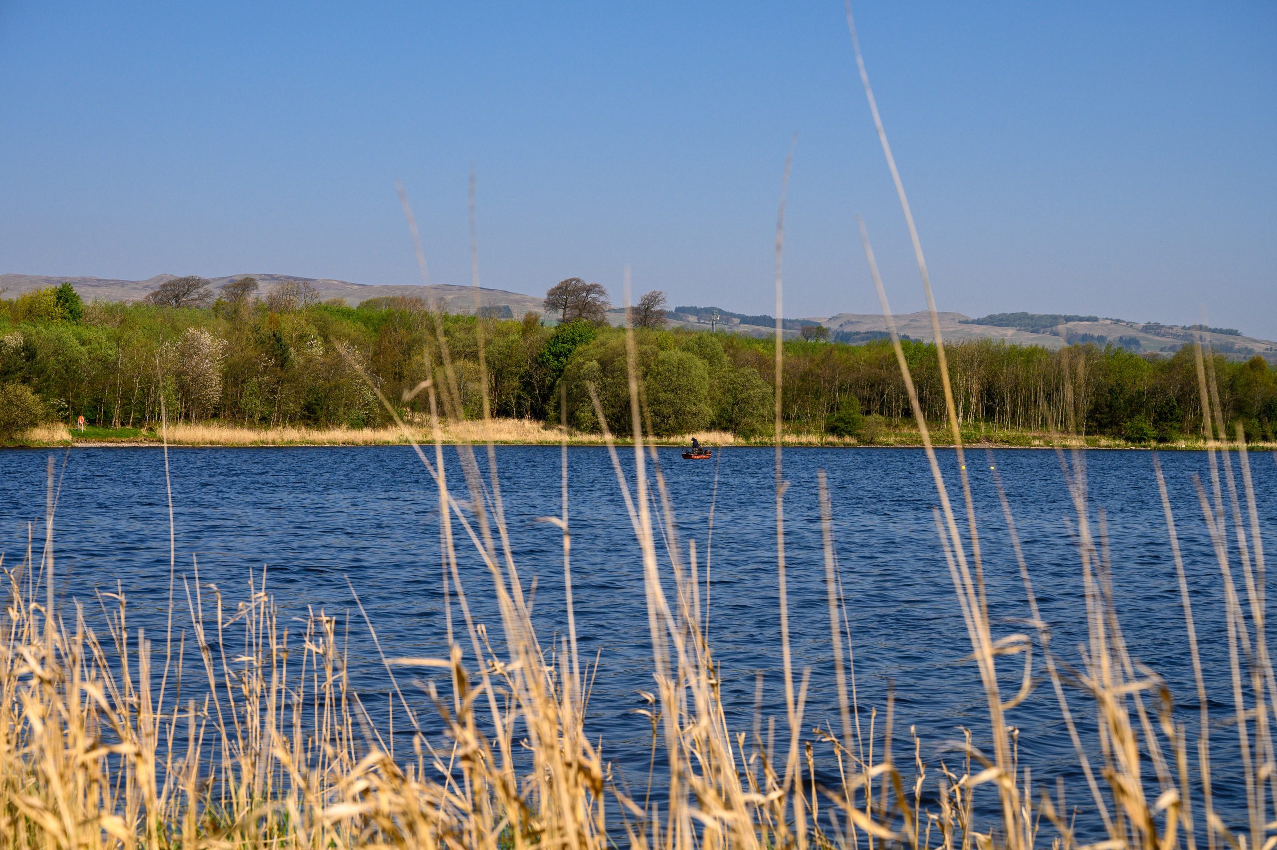 Lochshore, Kilbirnie (North Ayrshire) | TCV