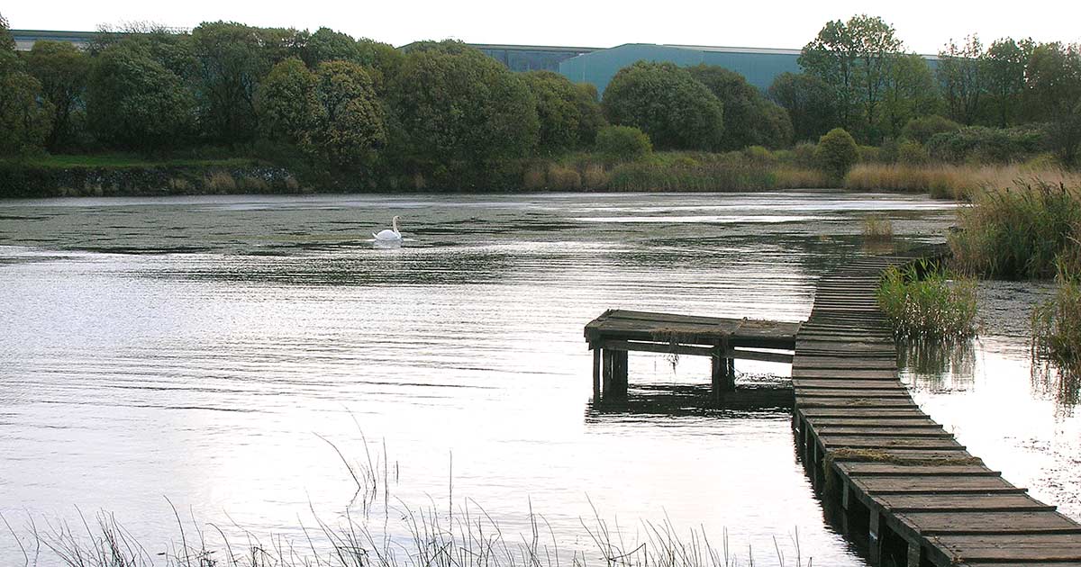 Lochshore, Kilbirnie (North Ayrshire) | TCV