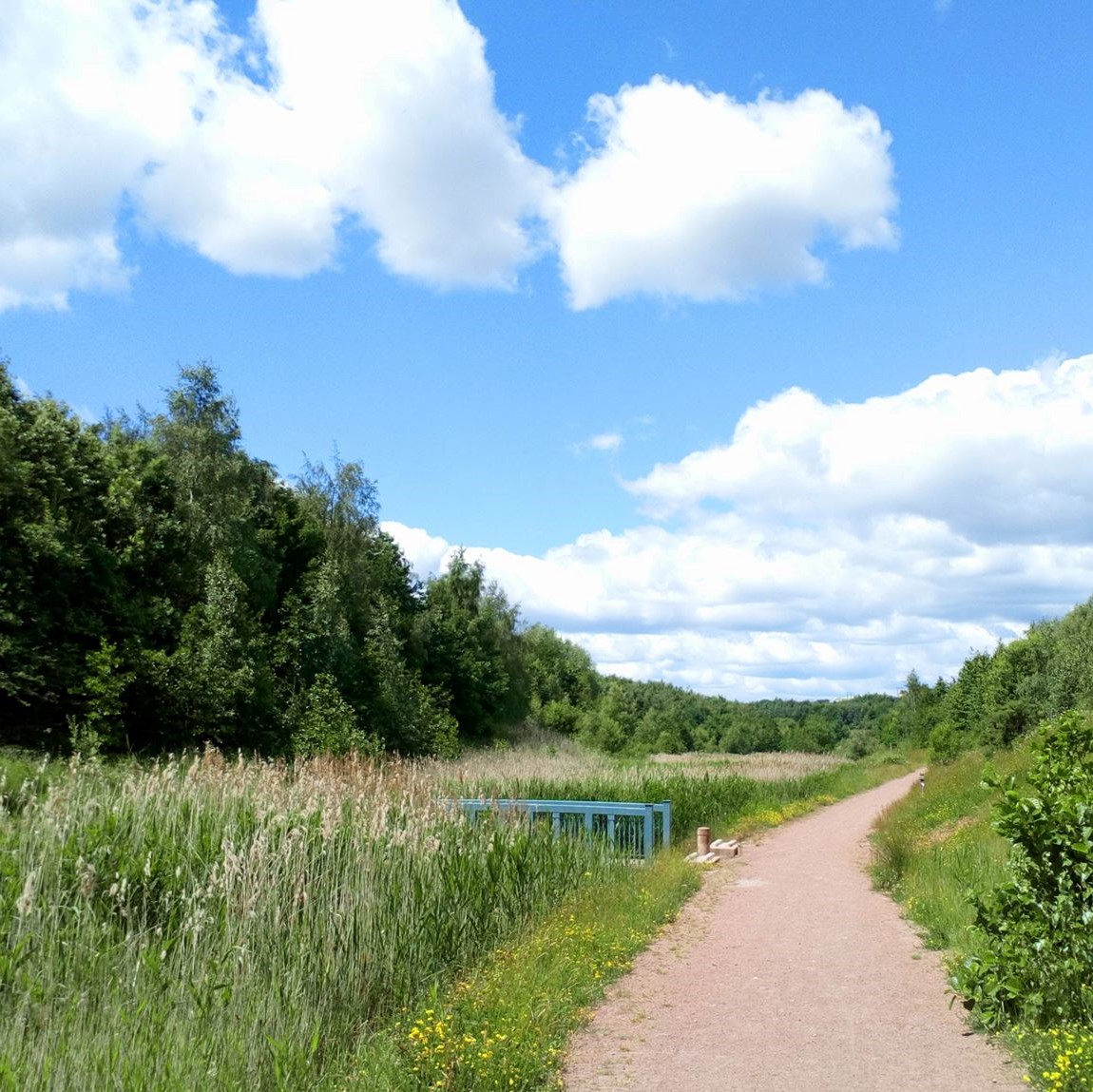 TCV in South Yorkshire | TCV