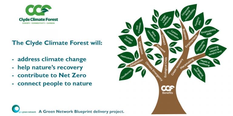 Plans to plant ten trees for every person in Glasgow City Region | TCV