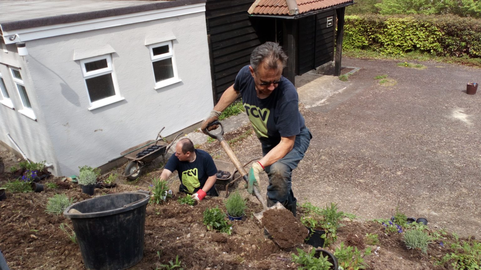 Greening the grey: Front garden ideas