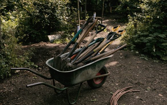 TCV | The Conservation Volunteers