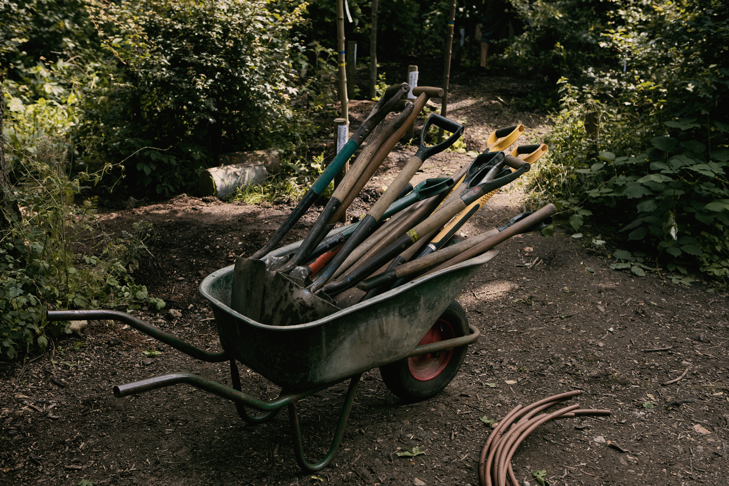 New partnership combines environmental and community outcomes for ...