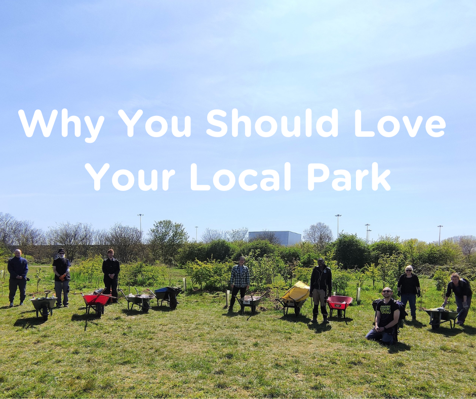 Why You Should Love Your Local Park | TCV Media Hub