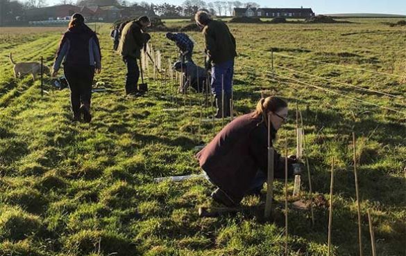 Free Trees for Communities Across the UK