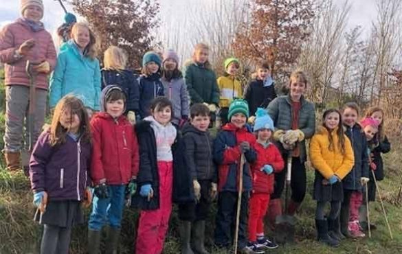 Free Trees for Communities Across the UK