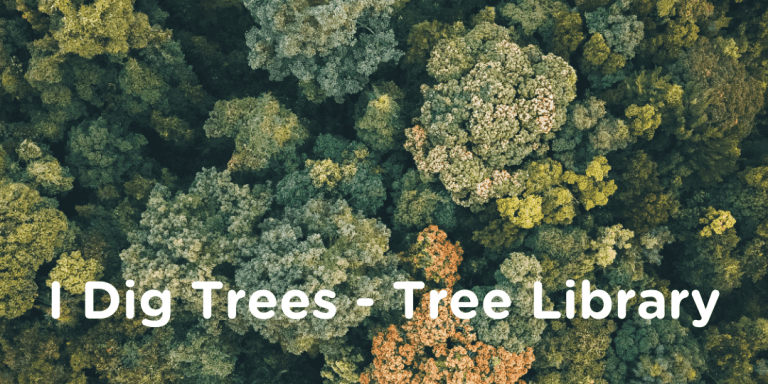 Free Trees for Communities Across the UK