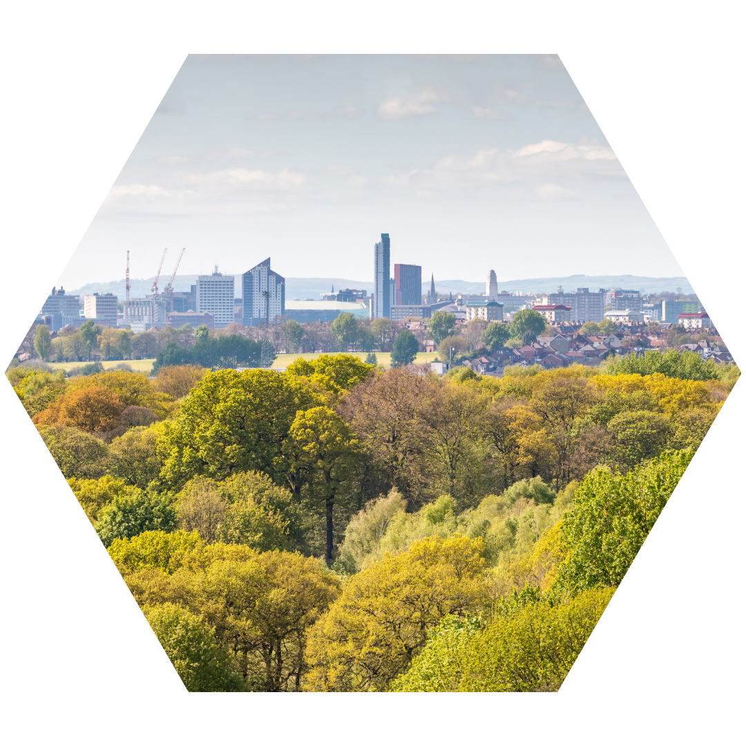 Free Trees for Communities Across the UK