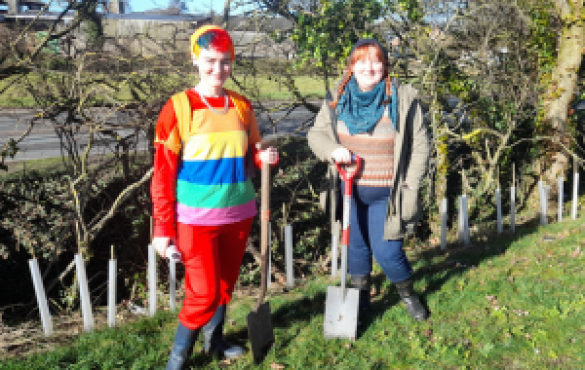 Free Trees for Communities Across the UK