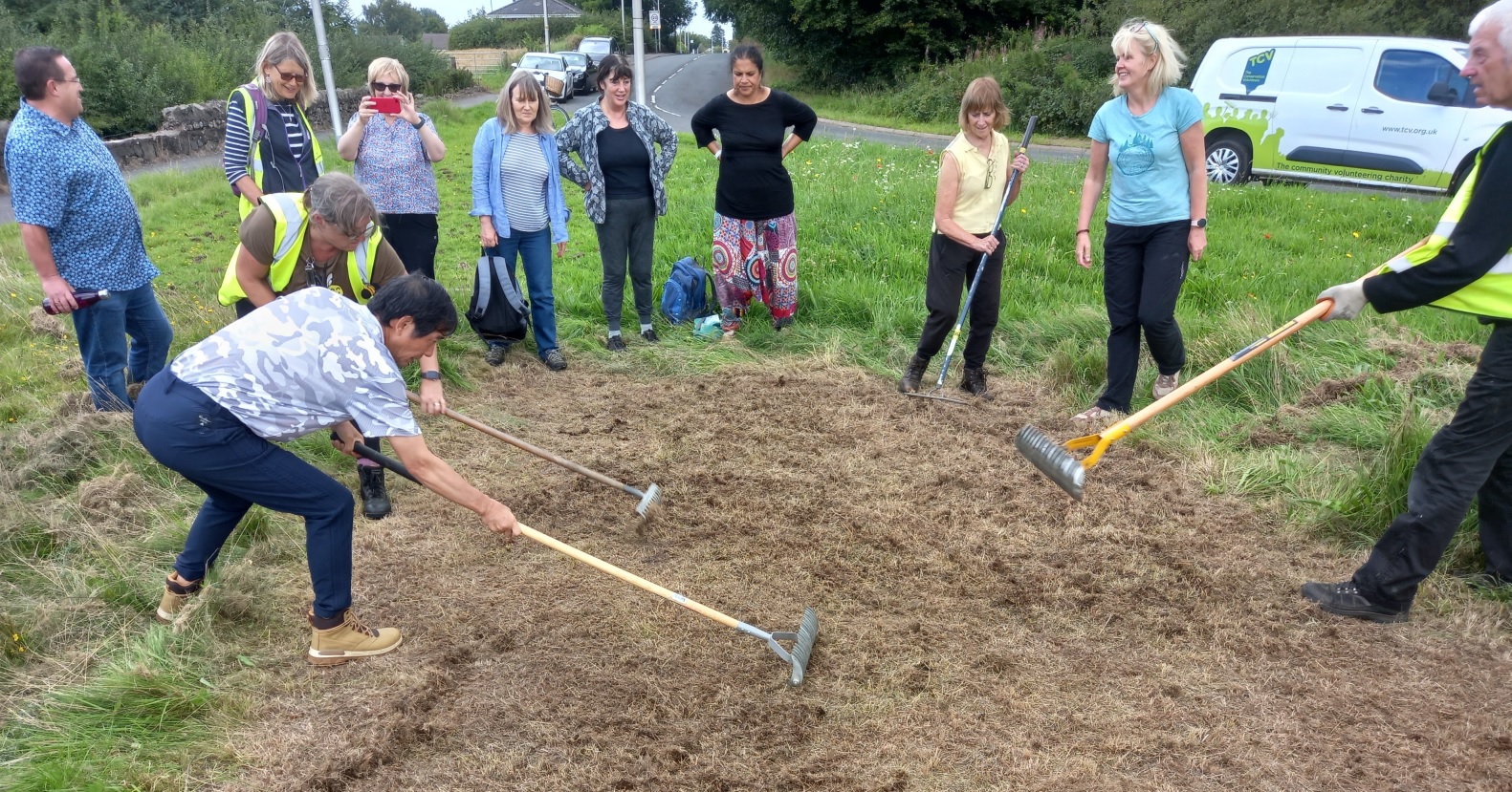 Creating Your Own Wildflower Meadow: A Step-By-Step Guide