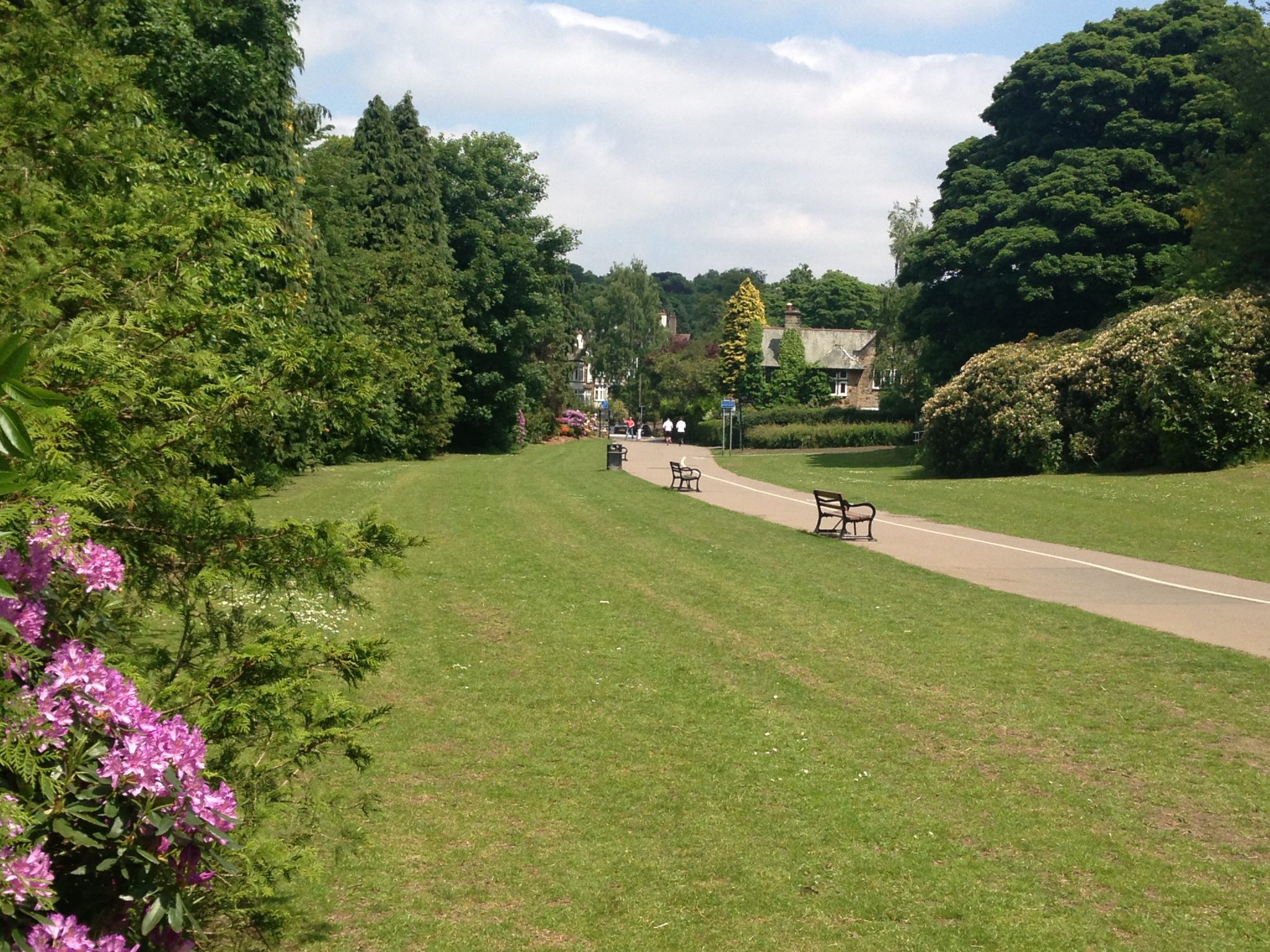 South Yorkshire Mayor Free Trees for Communities | TCV
