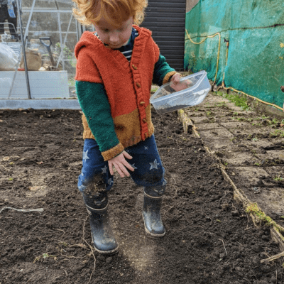 Creating Your Own Wildflower Meadow: A Step-By-Step Guide
