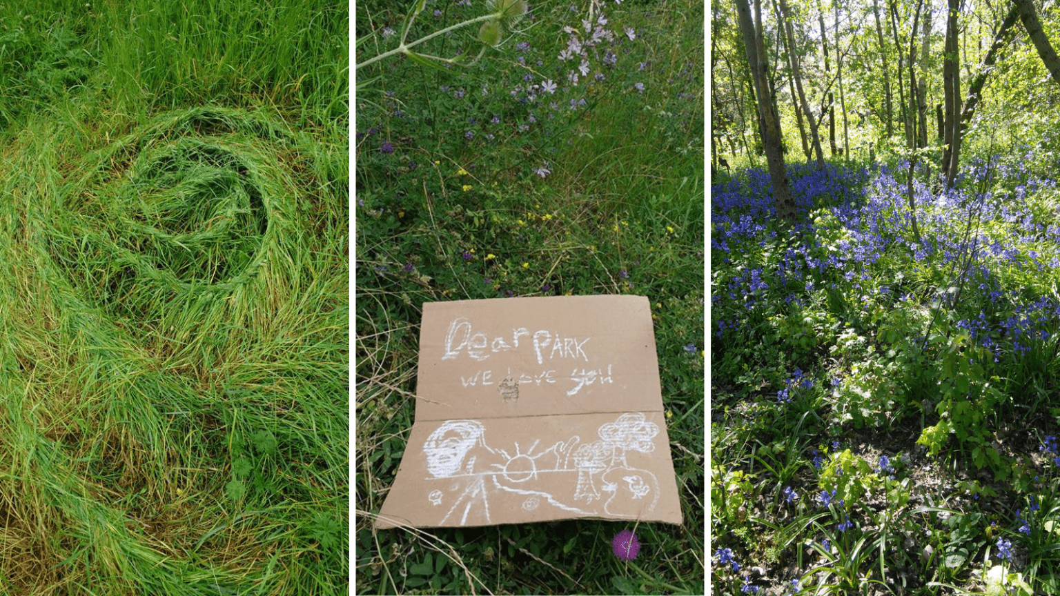 Rebeka – 35 Years Increasing Urban Biodiversity in London