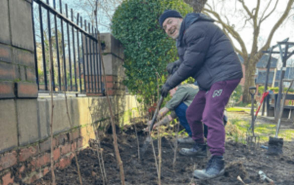 Free Trees for Communities Across the UK