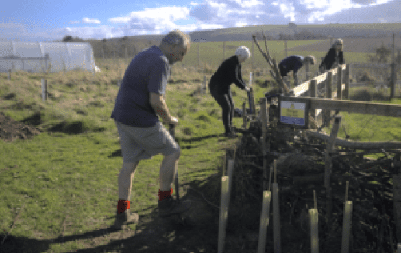 Free Trees for Communities Across the UK