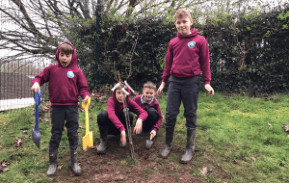 Free Trees for Communities Across the UK