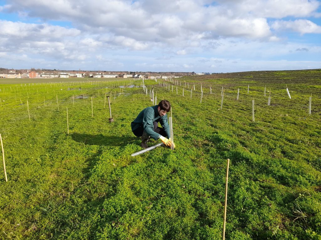 Help create a more biodiverse future | TCV