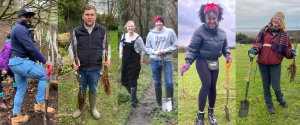 9 Surprising Benefits of Planting Trees in Your Community (Backed by ...