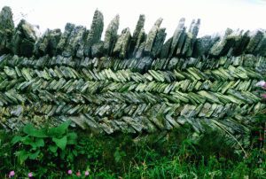 A Comprehensive Guide For Spotting Wildlife In Dry Stone Walling Across ...