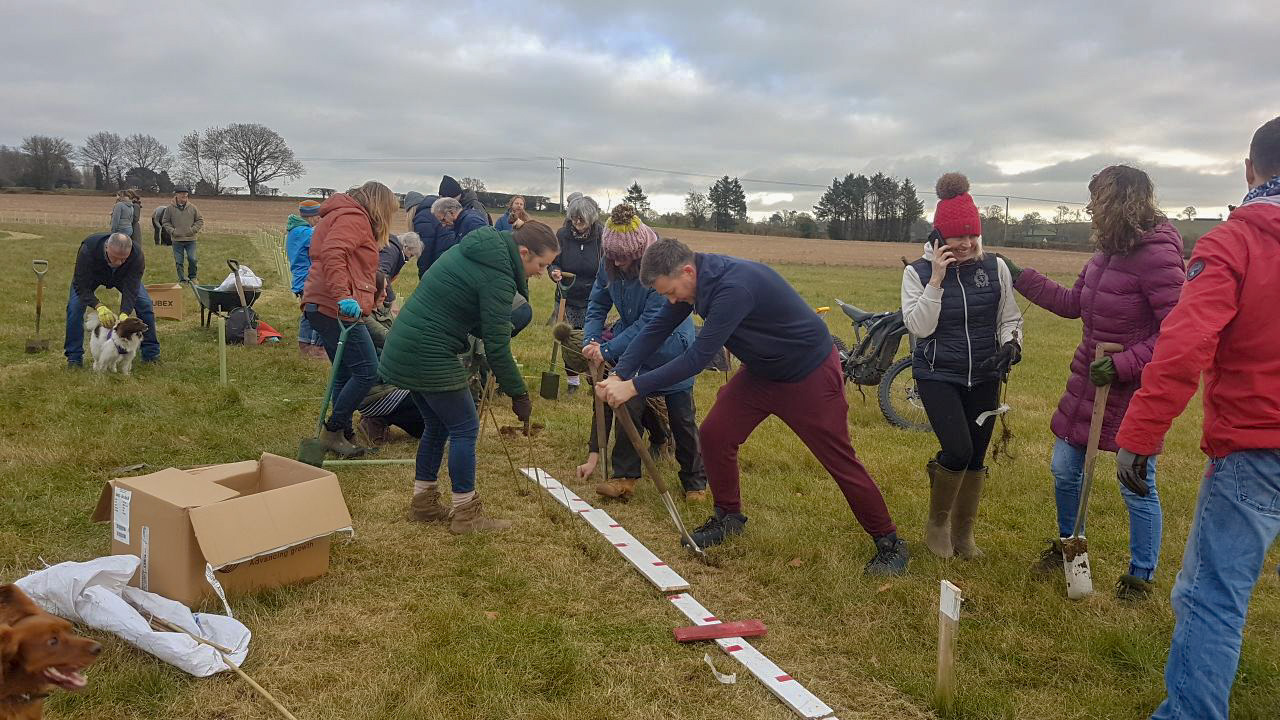 I Dig Trees: Tips for Hosting a Community Tree Planting Day