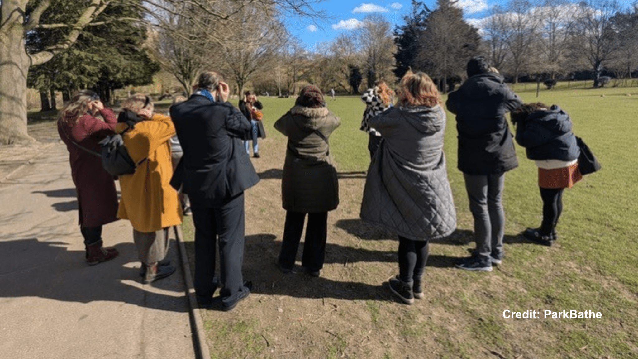 Forest Bathing – A Mindful Path to Nature Connection