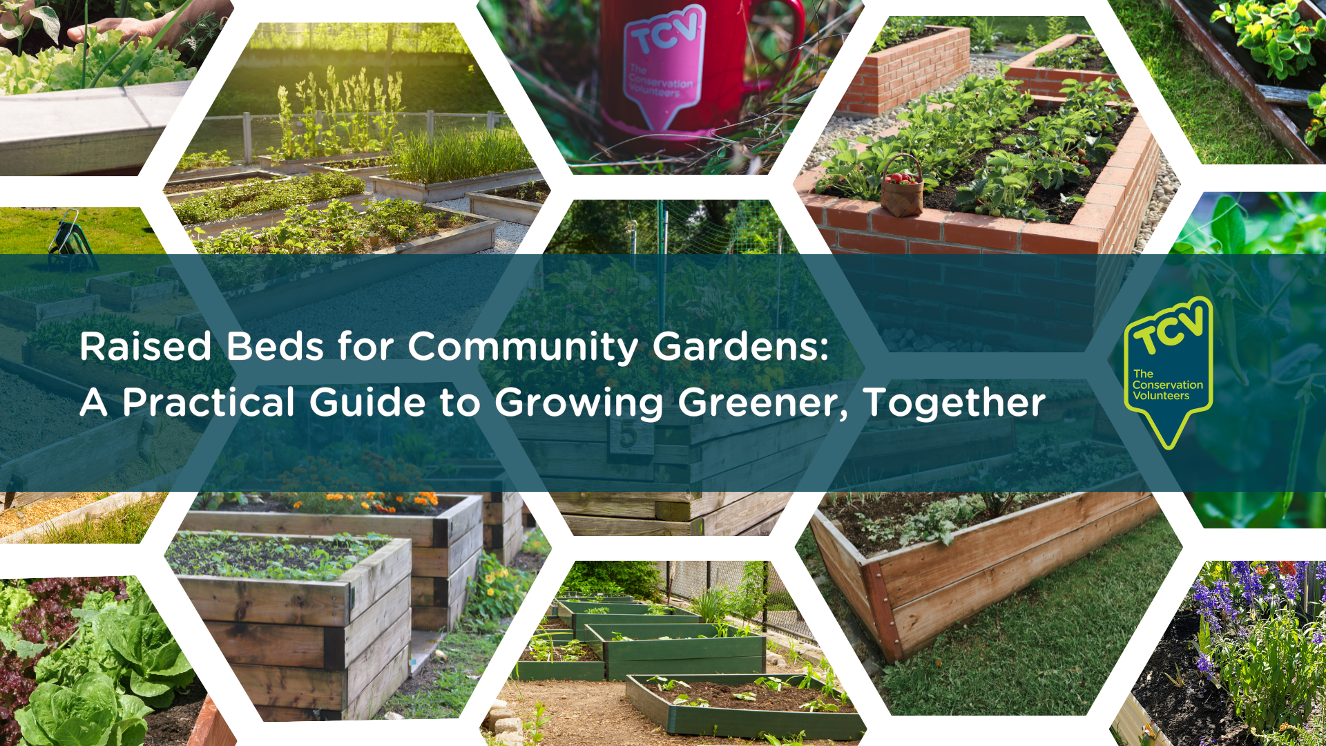 Raised Beds for Community Gardens: A Practical Guide to Growing Greener ...