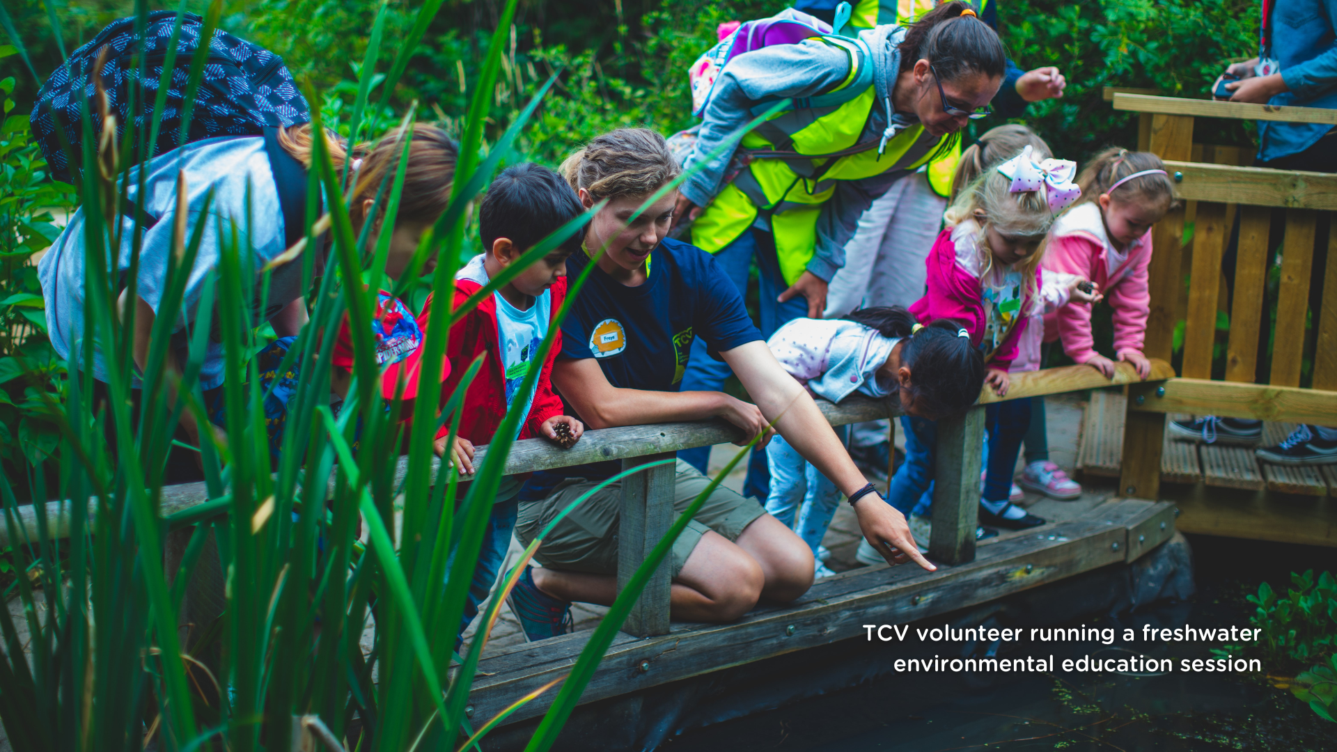 All About Ponds: Why These Vital Habitats Matter