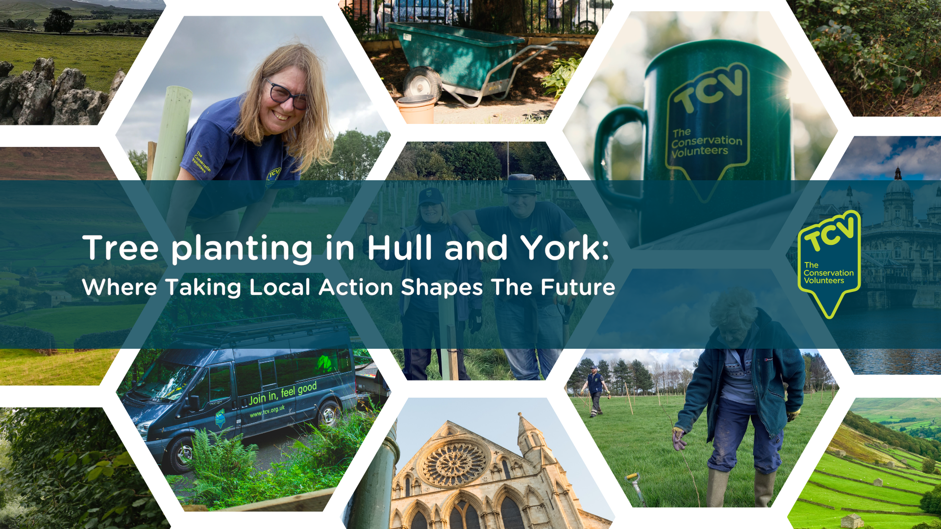 Tree Planting in Hull and York | Community Action with TCV